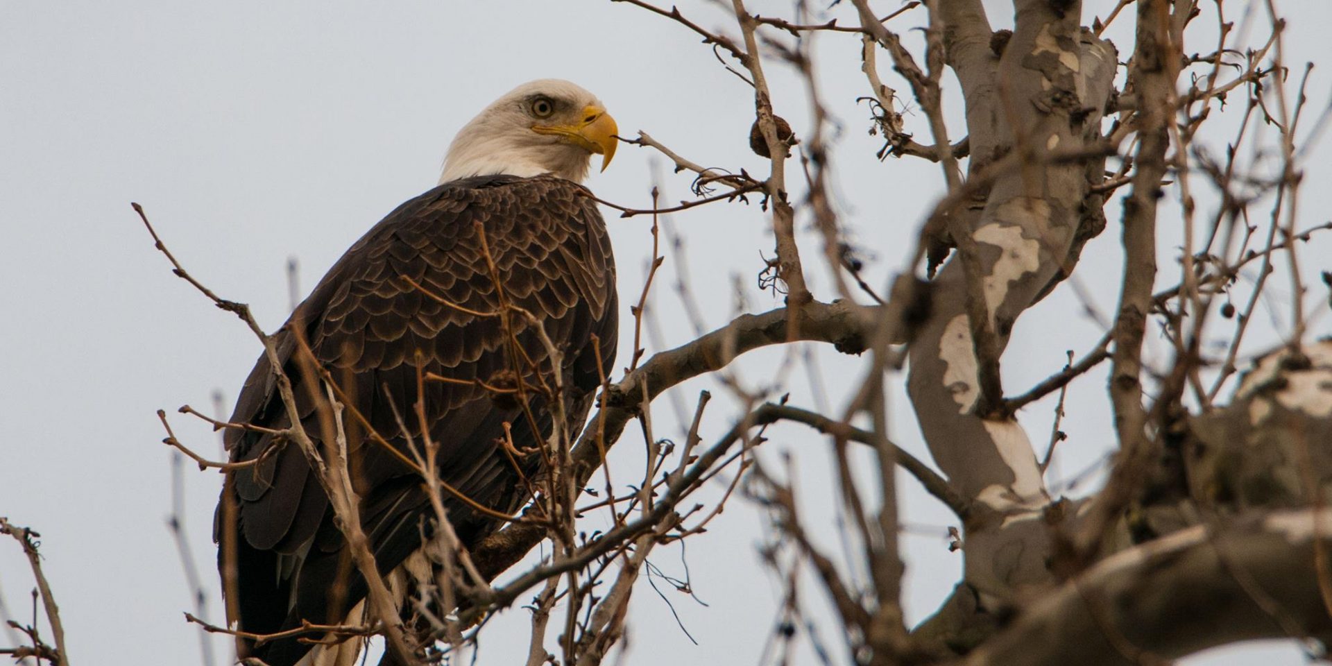 Boots and Satellites: NALT Biologists Take Steps to Protect the Land ...