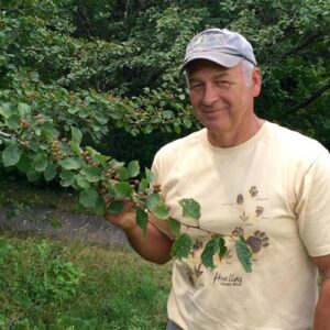 NALT's Ron Lance publishes article on "Durand Oak" - North American Land Trust