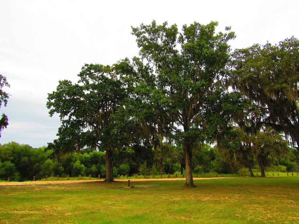 NALT Botanist Ron Lance works with Conservation Groups and US Forest ...