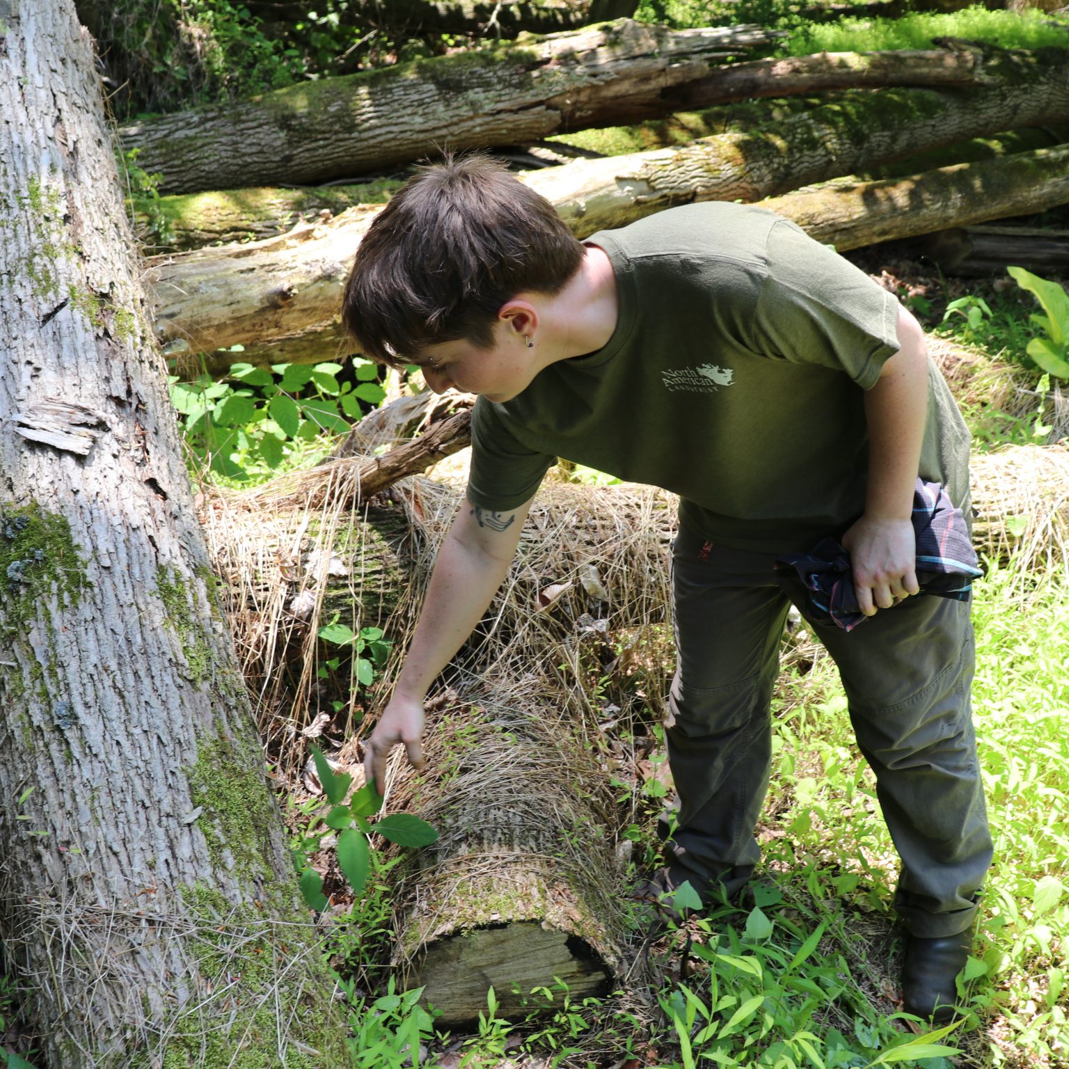 Meet Kinsey Cuoco, NALT Intern - North American Land Trust