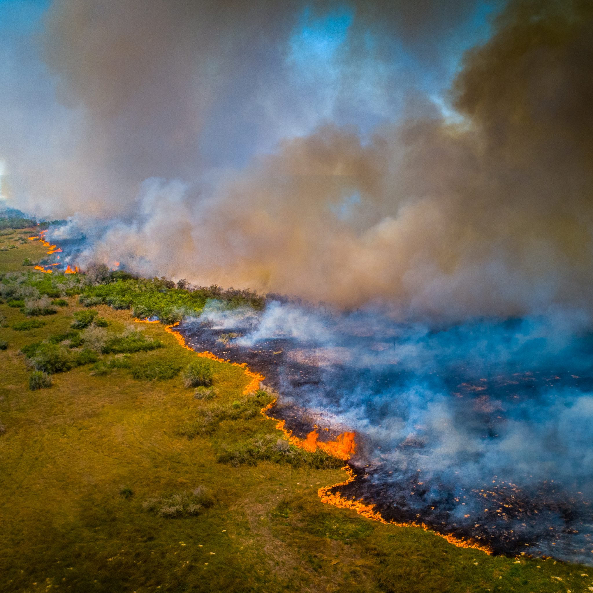 Conserving Land for Cranes - North American Land Trust